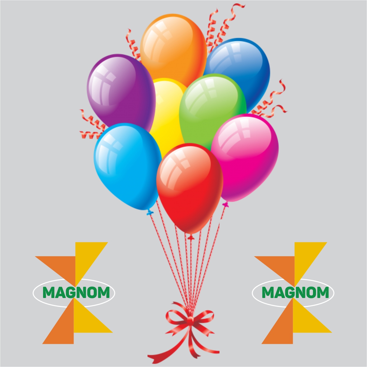 About us – Magnom Technologies